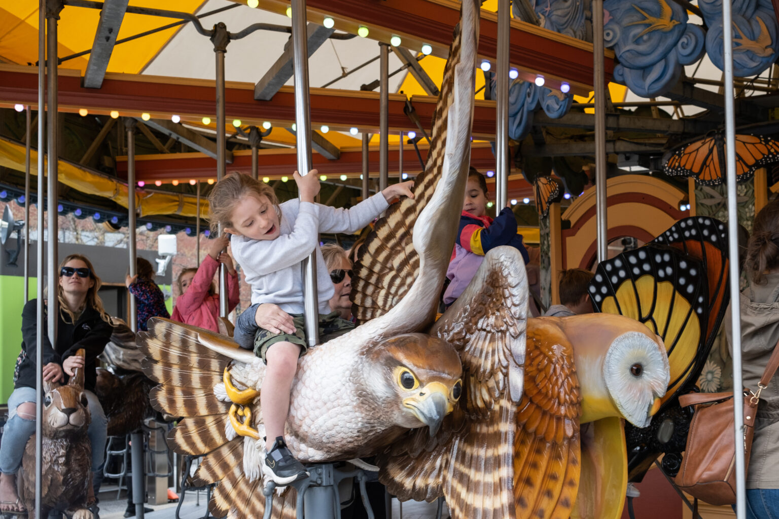10 Years of The Greenway Carousel - The Rose Kennedy Greenway