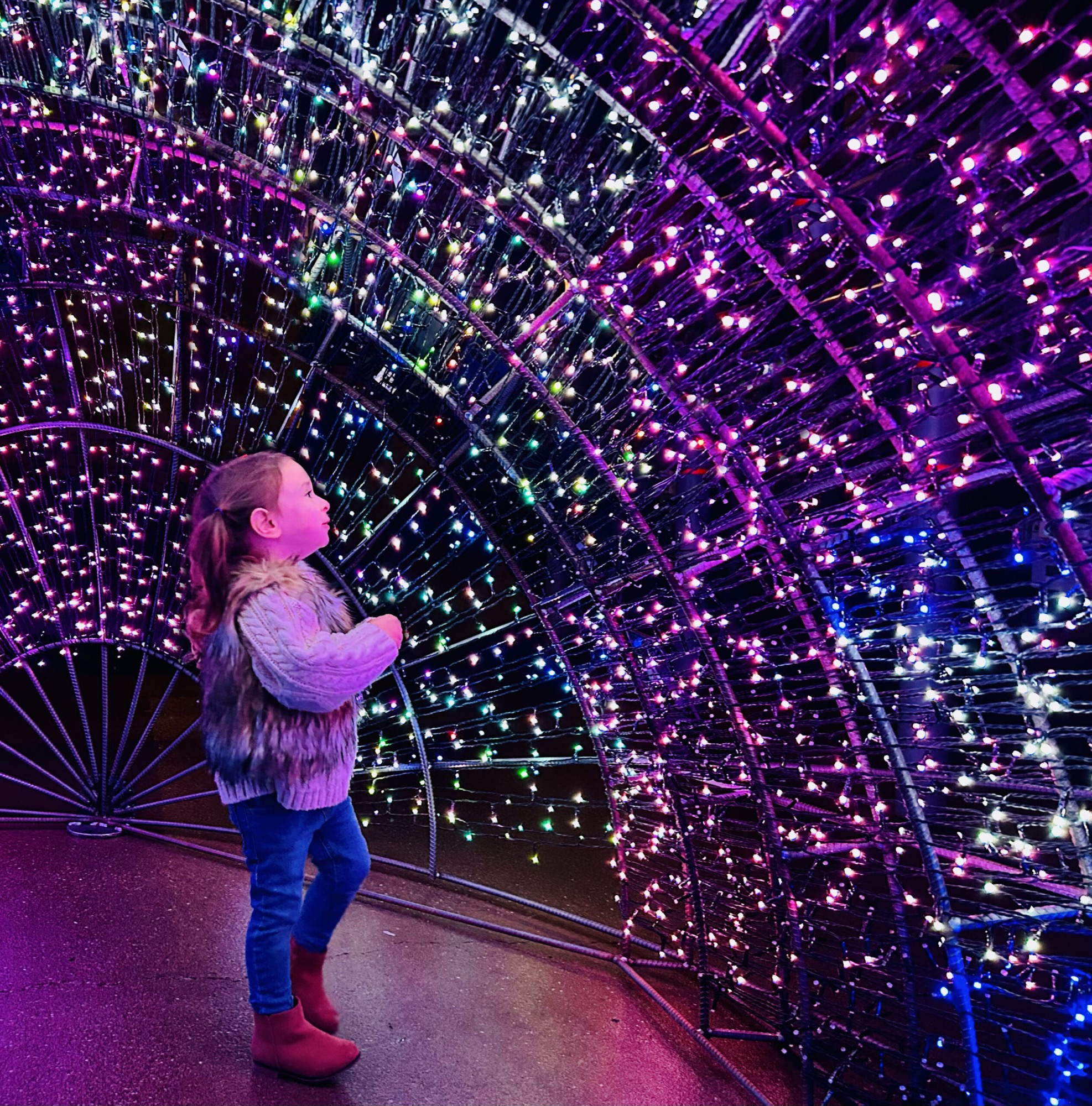 Hatchlings, 2023 - The Rose Kennedy Greenway