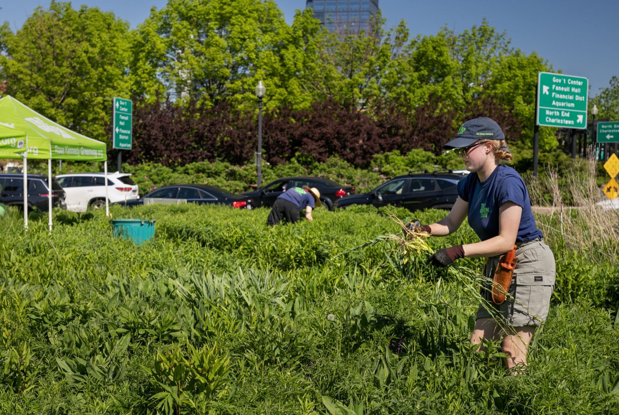 A Summer of Urban Horticulture: Horticulture Intern Amy Monsen - The ...