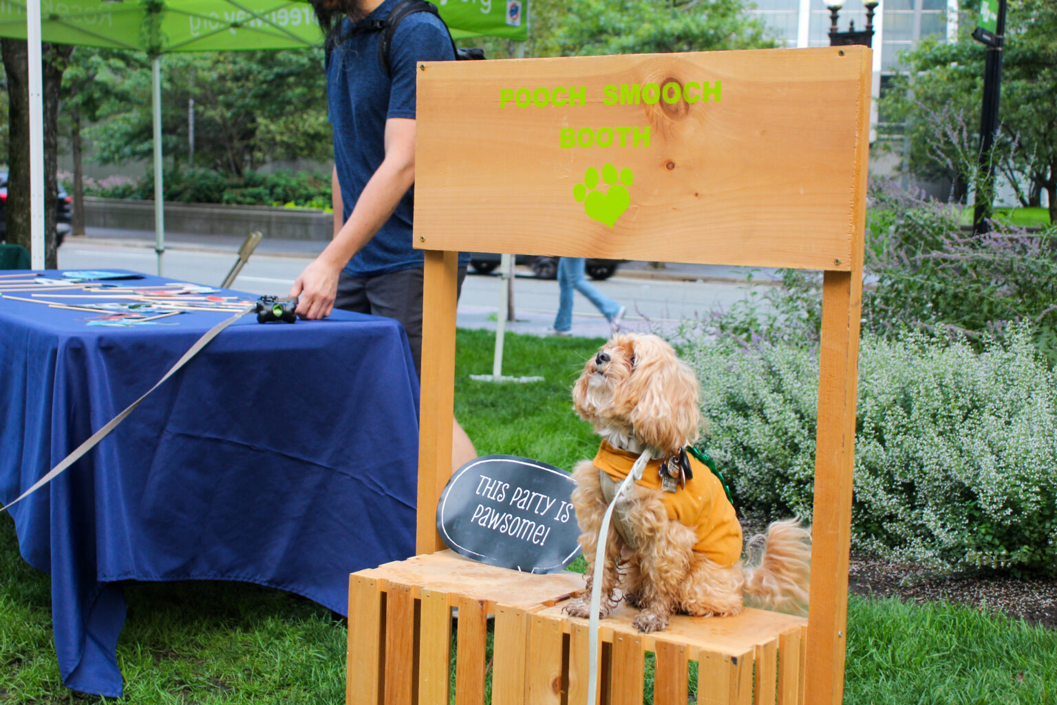 Canine Costume Fests and More: Events & Partnerships Intern Sofi ...