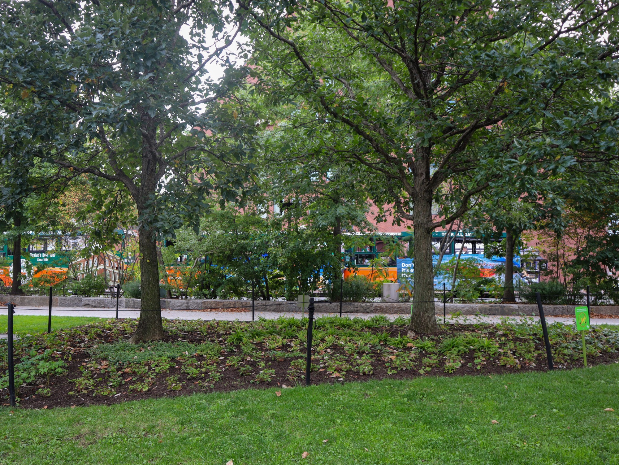 Greenway Horticulture: Creating a Soft Landing - The Rose Kennedy Greenway
